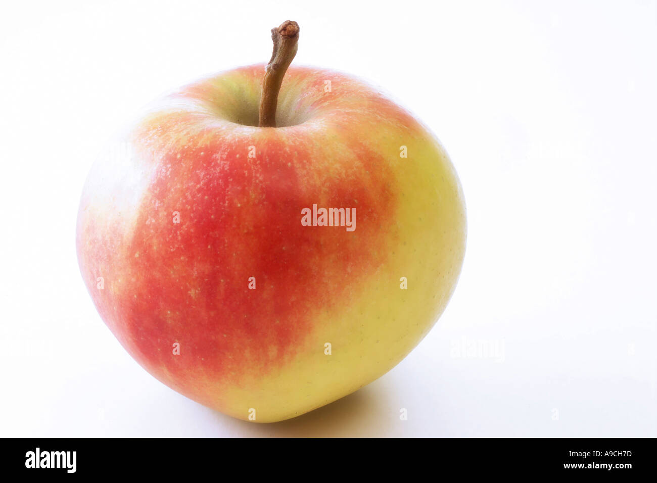 Pomme Elstar Banque d'image et photos - Alamy