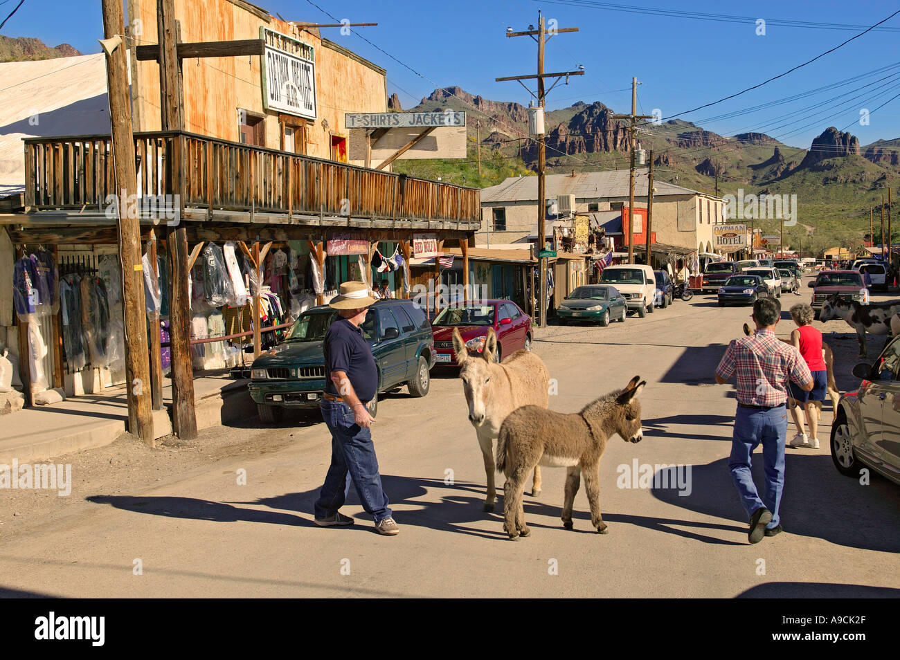 La route 66 passe par Oatman Arizona où ânes sauvages errent librement ...