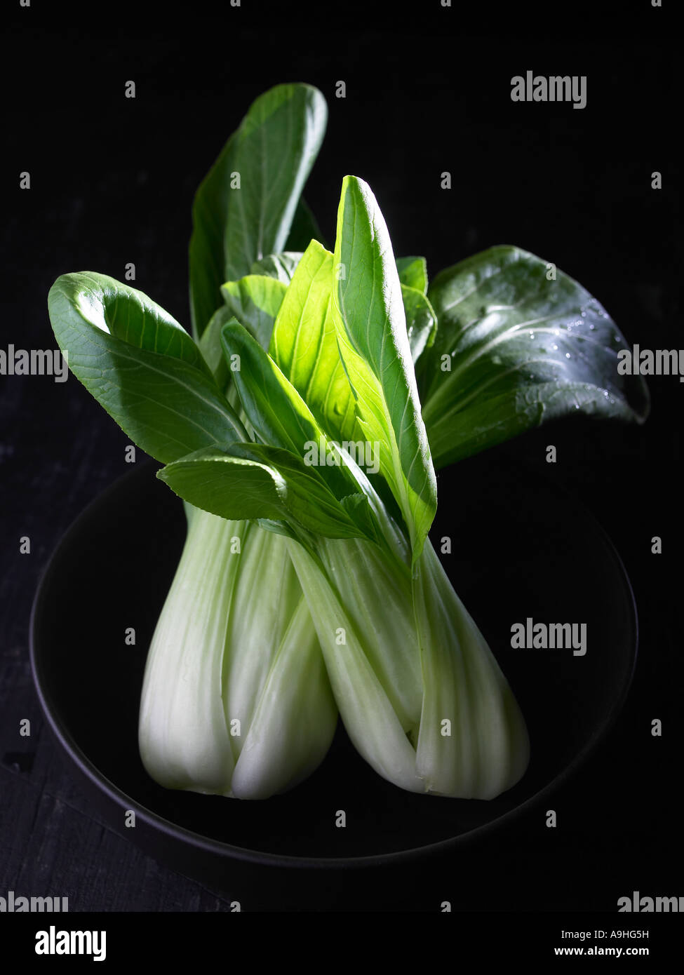 Pac choi Banque de photographies et d’images à haute résolution - Alamy