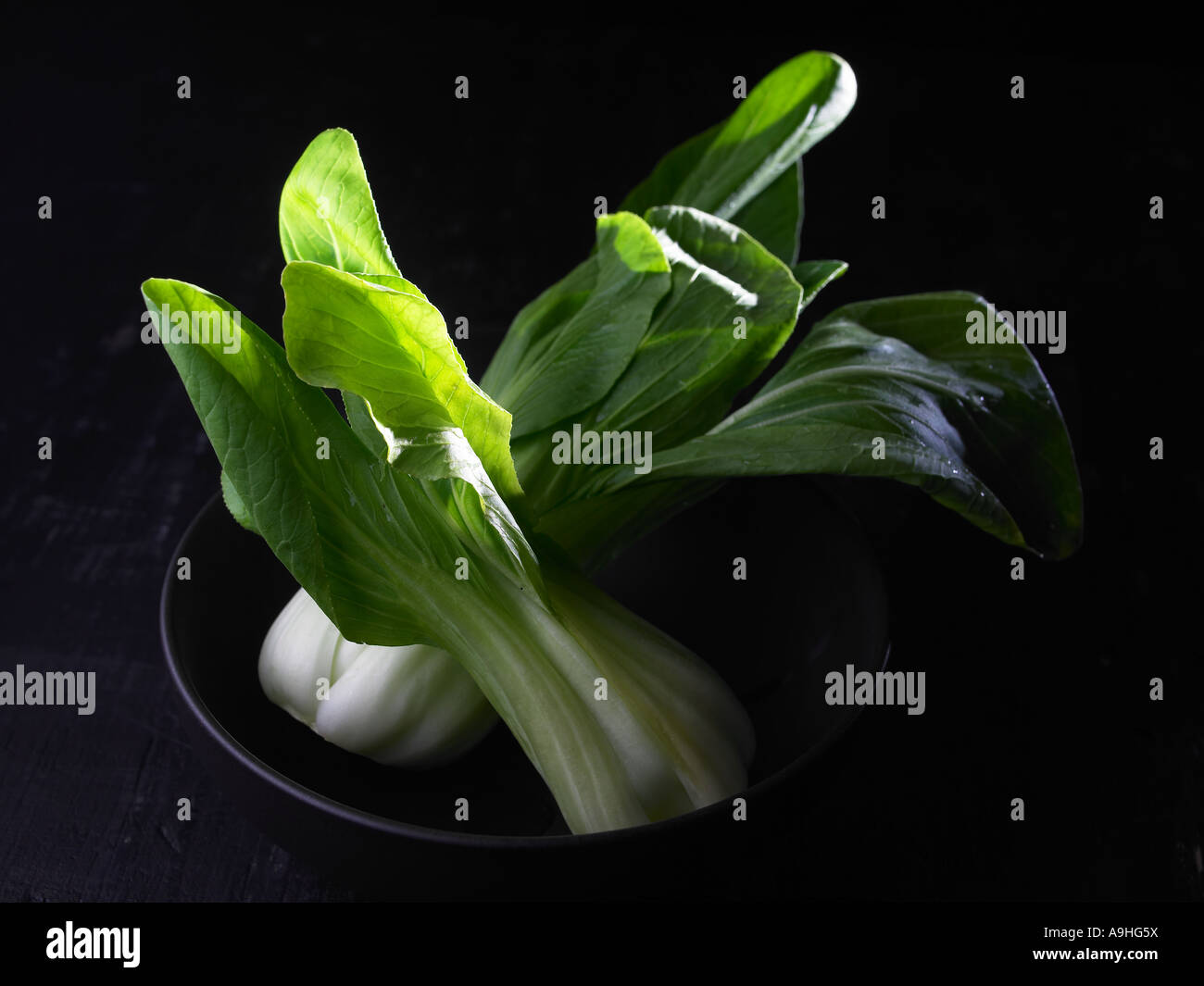 Pac choi Banque de photographies et d’images à haute résolution - Alamy