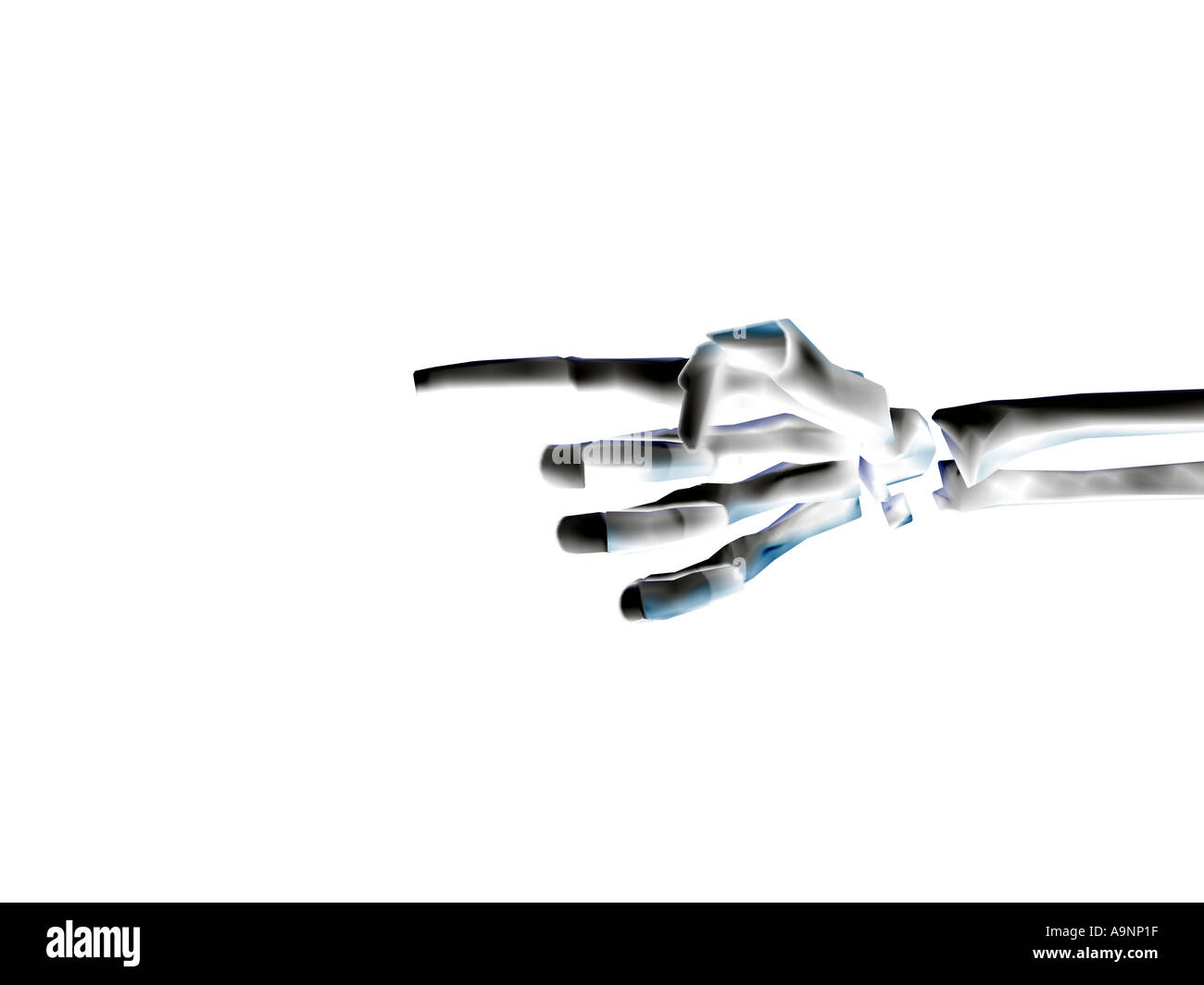 Main squelette Banque de photographies et d’images à haute résolution ...