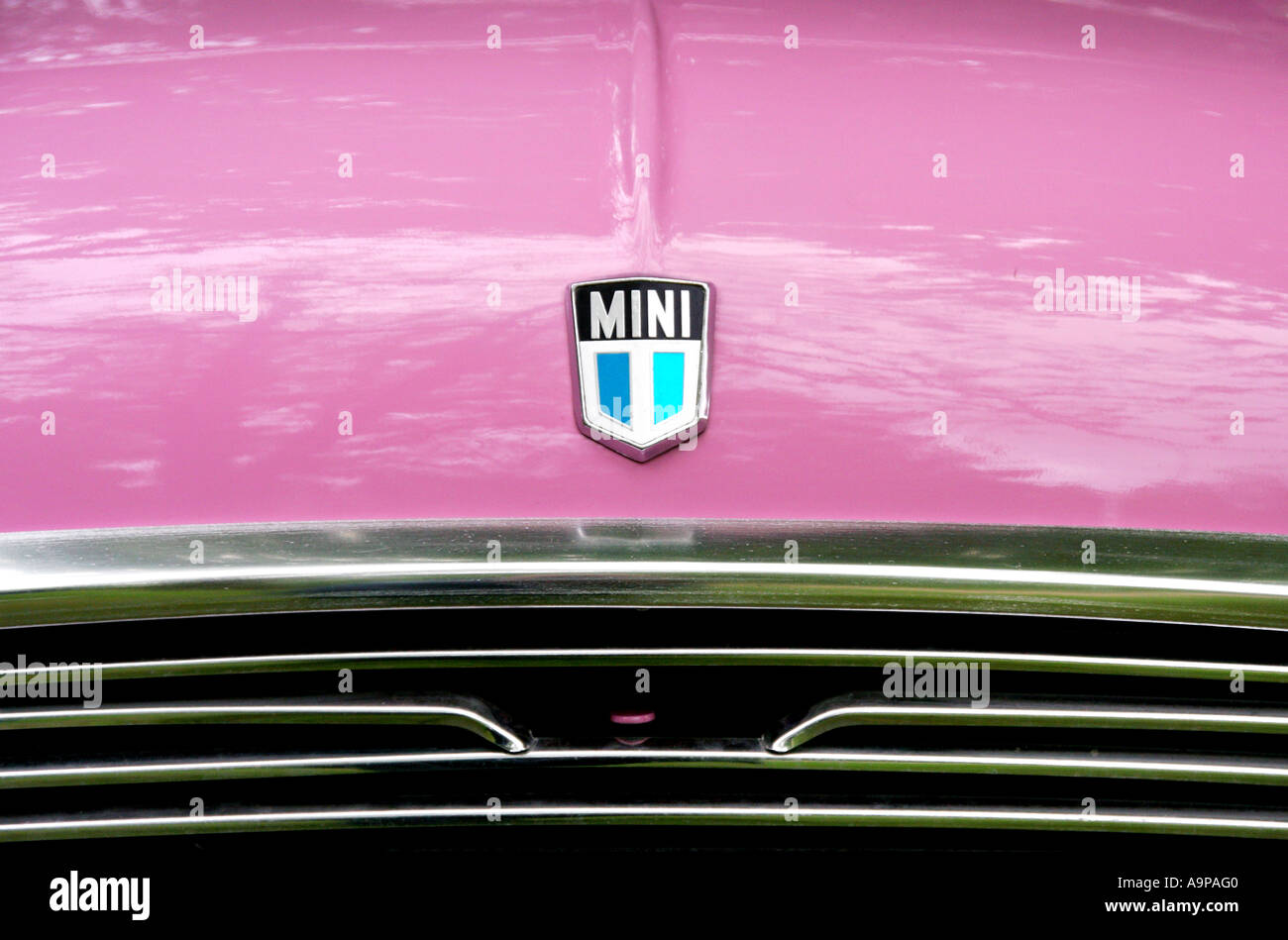 1983 rose austin mini mayfair Banque de photographies et d’images à ...