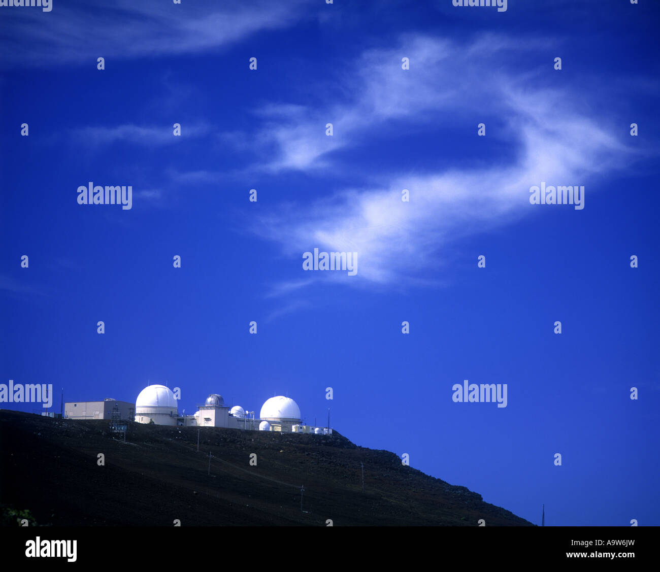 Puu ulaula Banque de photographies et d’images à haute résolution - Alamy