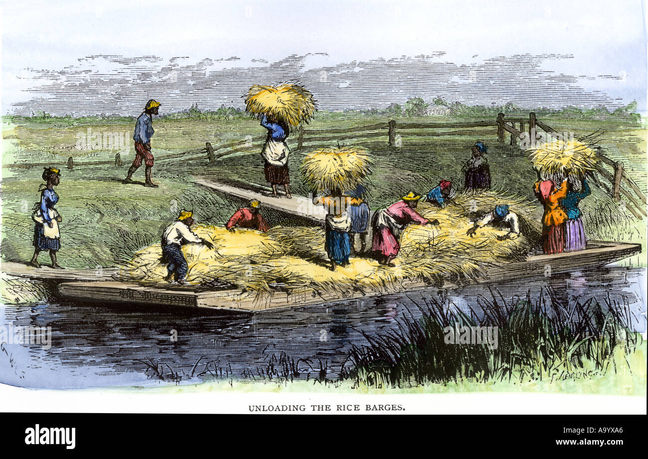 Slaves Plantation Banque d'image et photos - Alamy