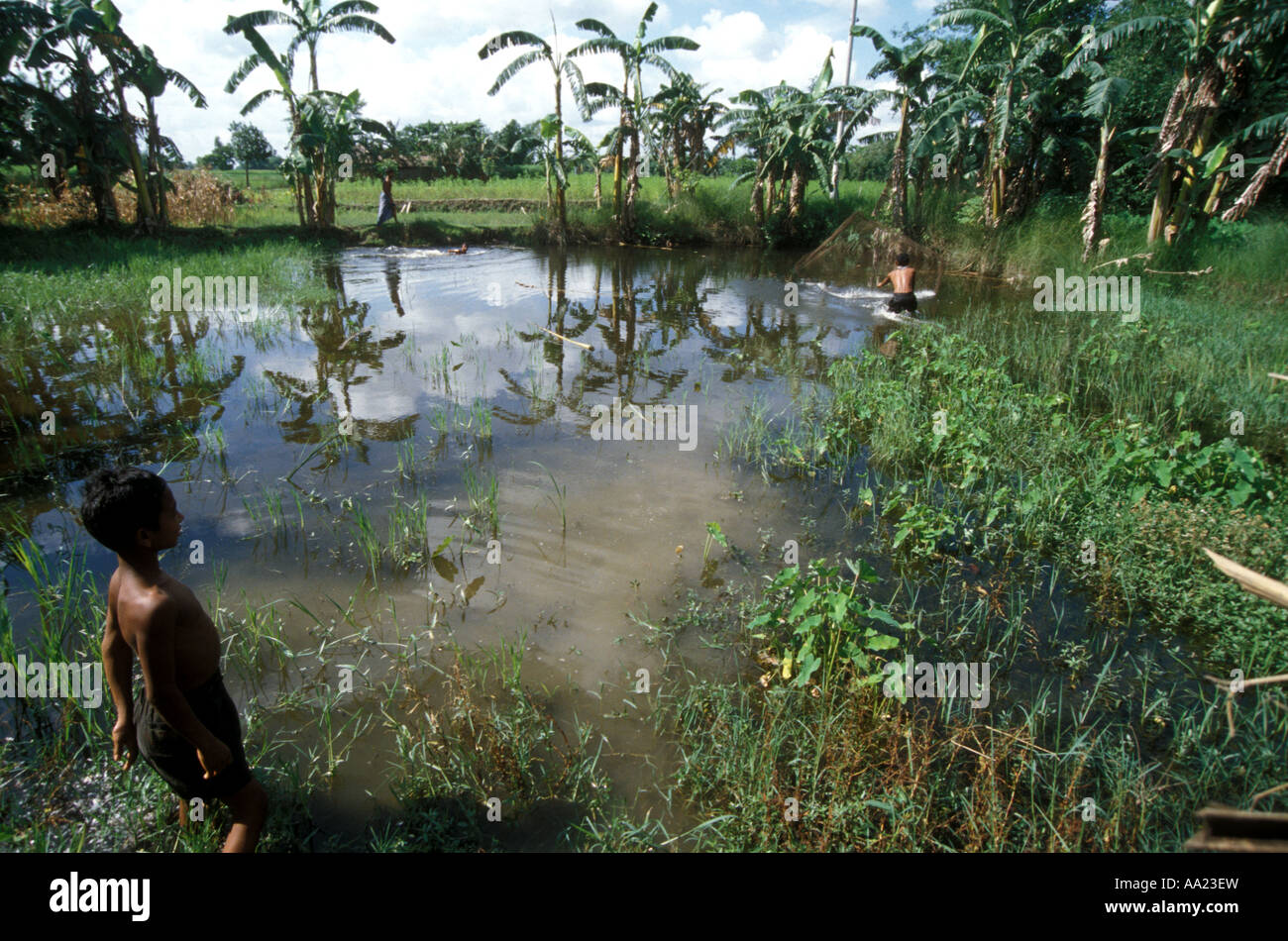 L'élevage de poissons au Bangladesh Photo Stock - Alamy