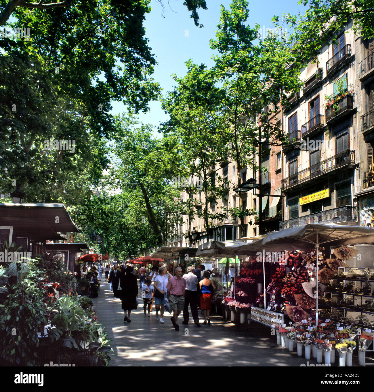 Las Ramblas (La Rambla), Barcelone, Catalogne, Espagne Photo Stock - Alamy