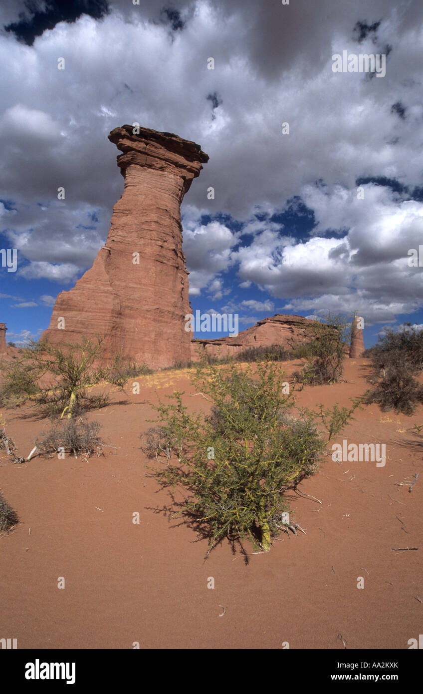 Des formations de roche de grès rouge spectaculaire et Brea (bush ...