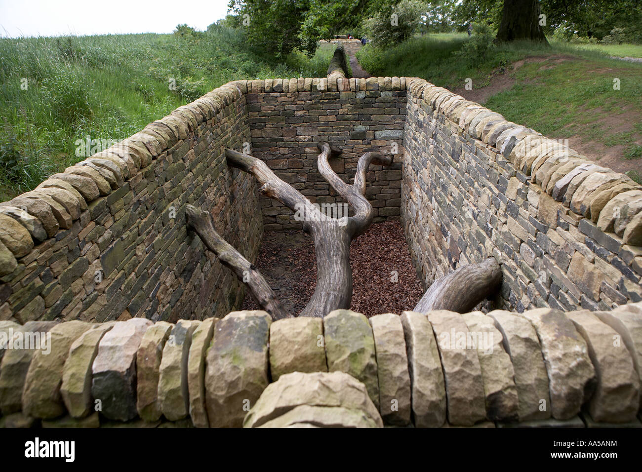 Hanging trees andy goldsworthy oxley Banque de photographies et d ...