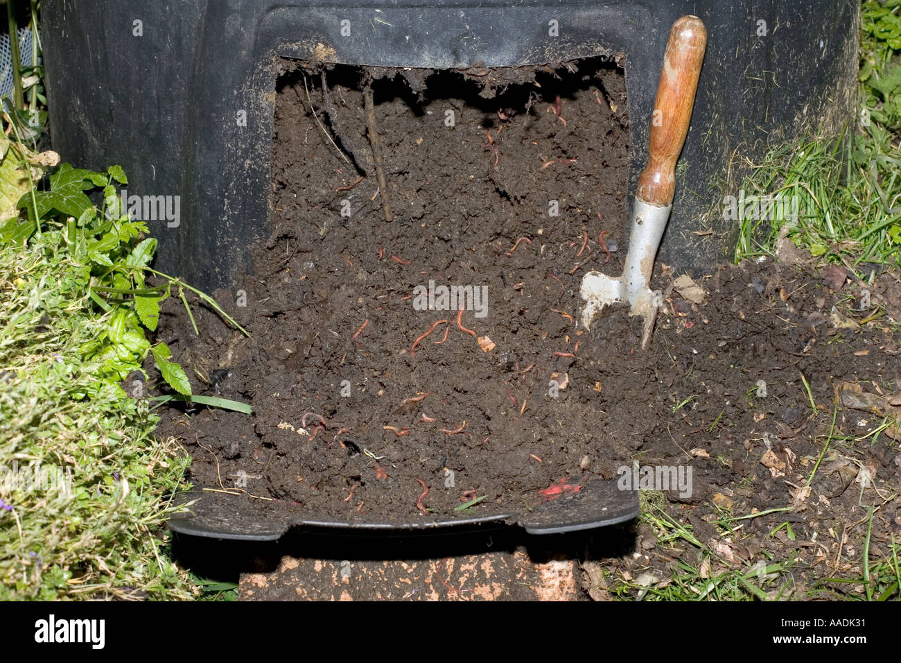 Le compost mûr à la base du bac à compost en plastique noir accueil ...