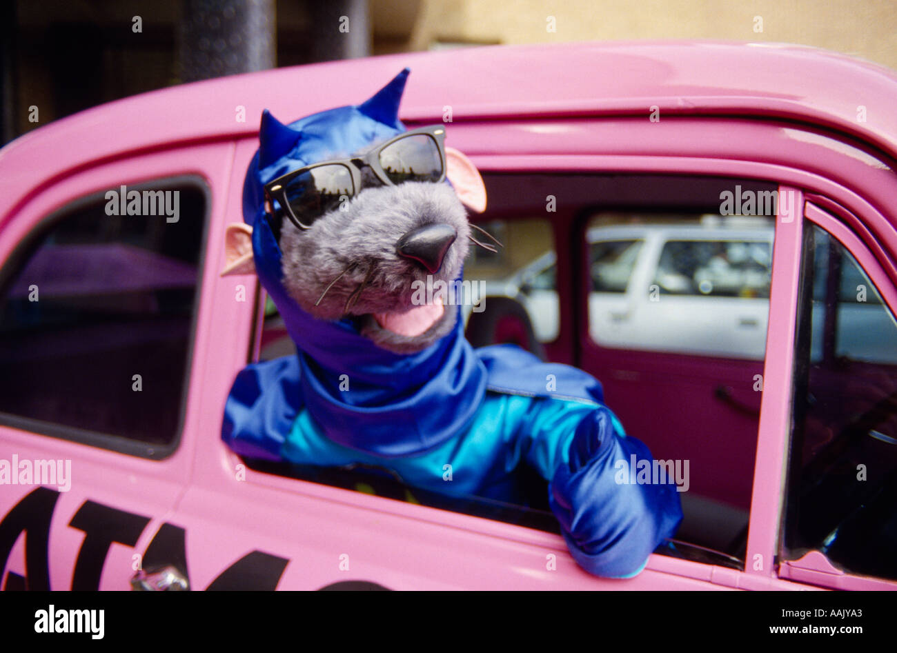 Rats cartoon Banque de photographies et d’images à haute résolution - Alamy