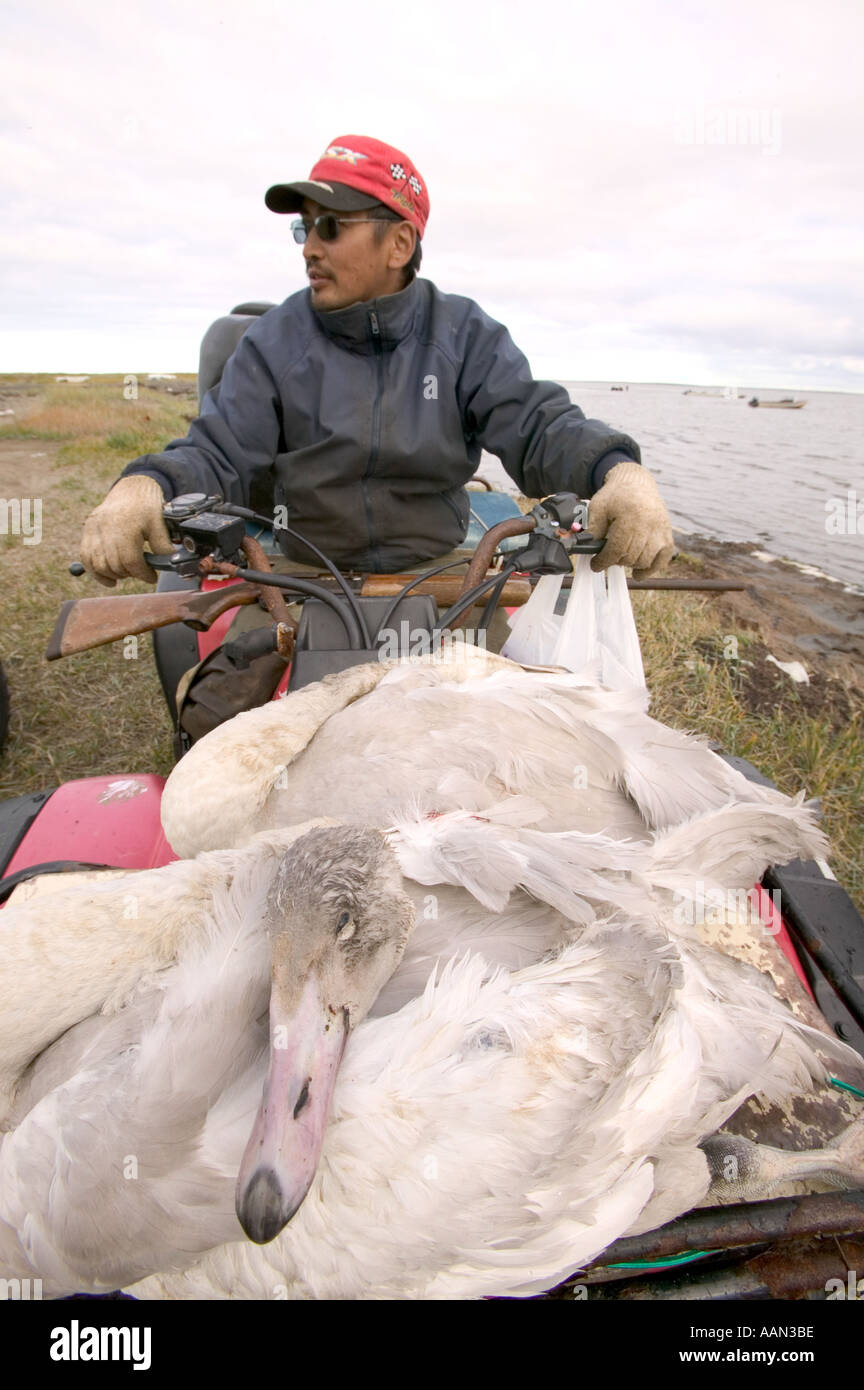 Inuit food alaska Banque de photographies et d’images à haute ...