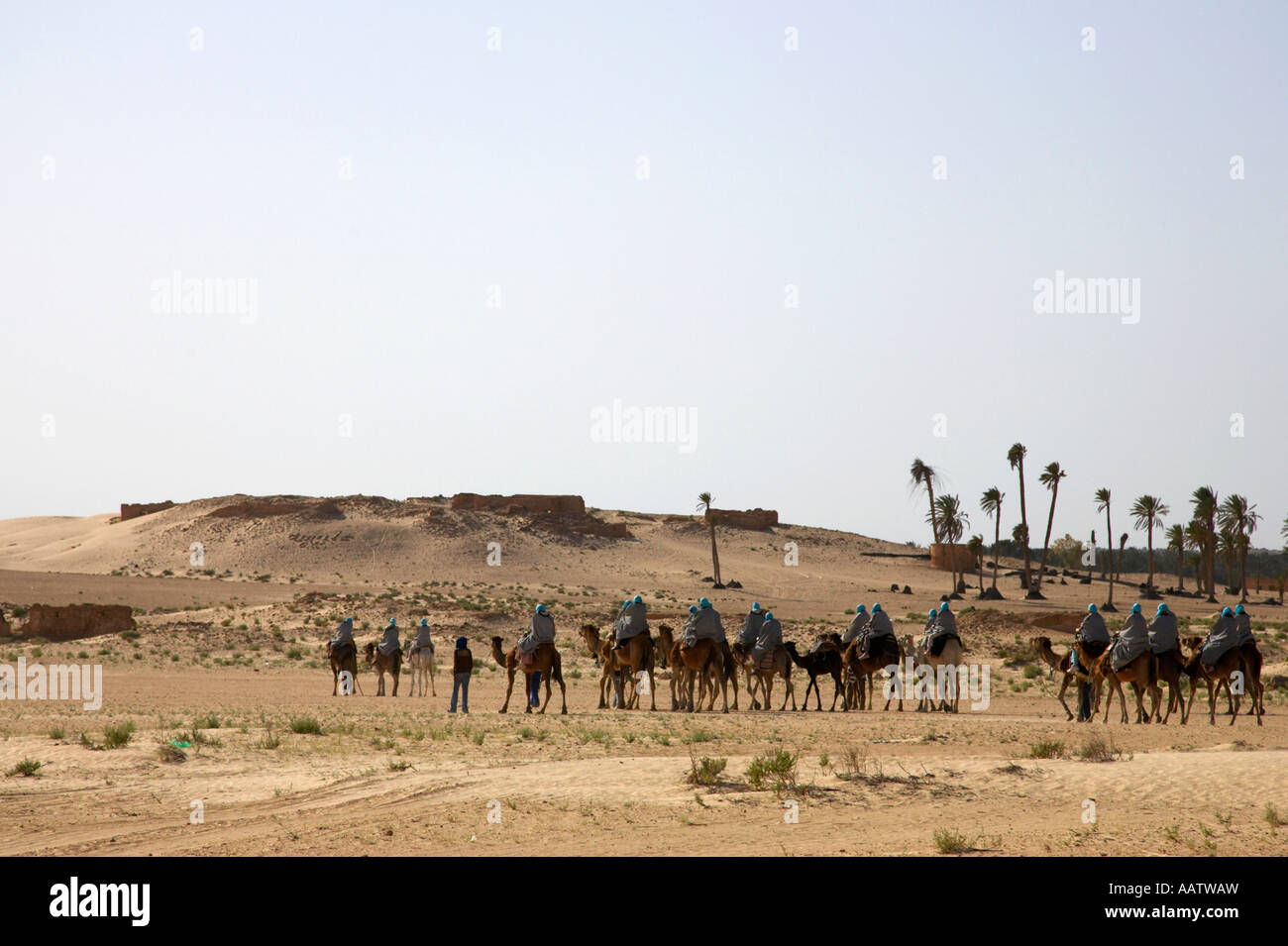 Grand groupe de touristes d'être conduit dans le désert sur des ...