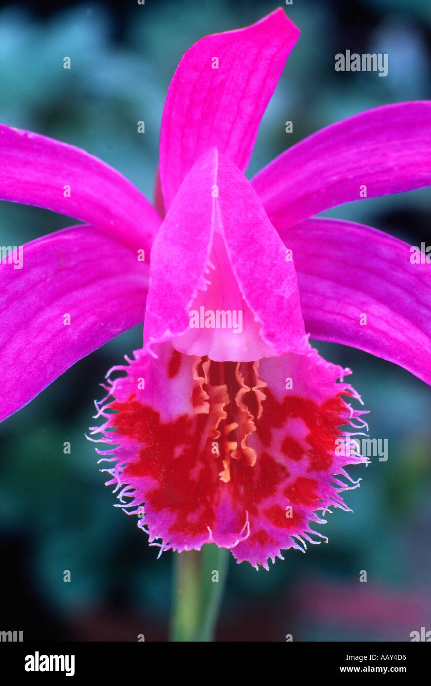 Frank kerr Banque de photographies et d’images à haute résolution - Alamy