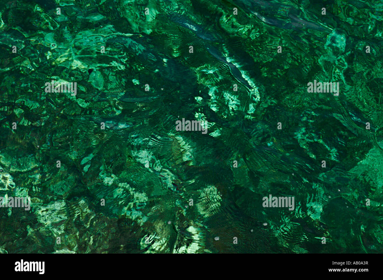 Texture eau de mer vert émeraude abstract background Photo Stock - Alamy