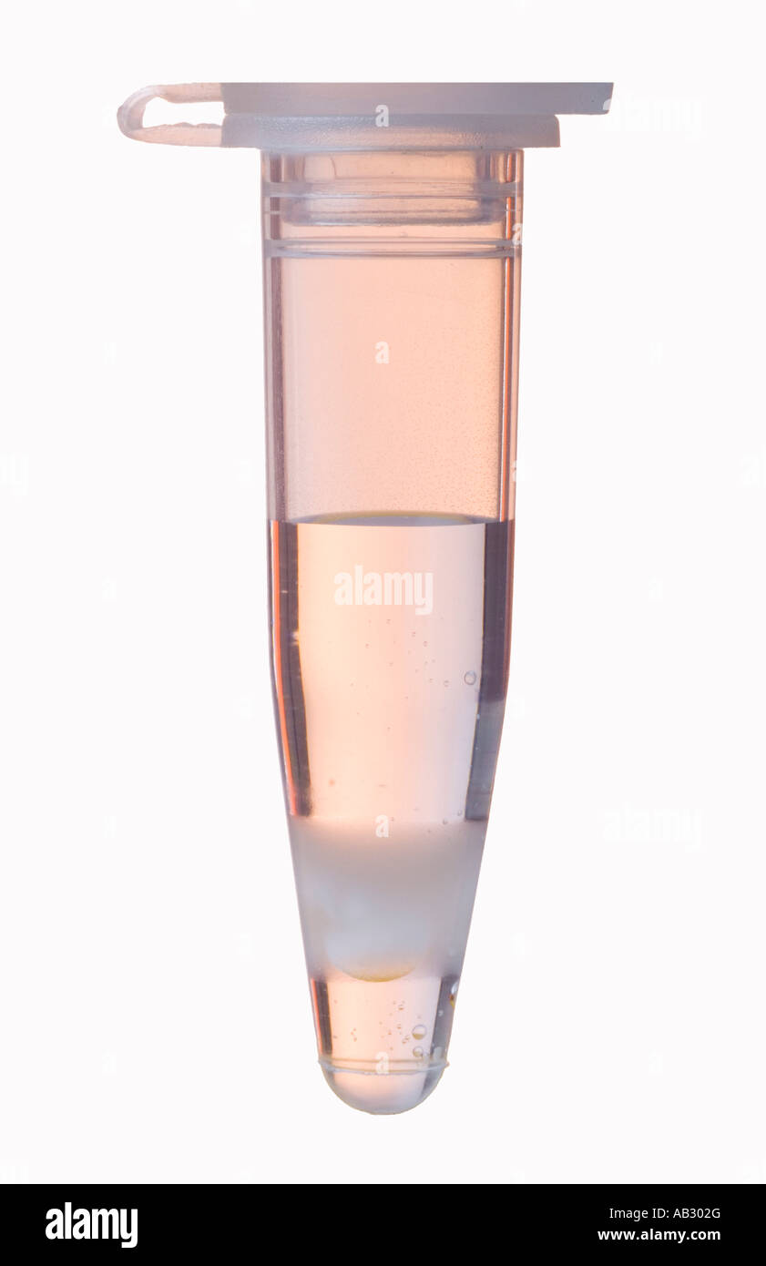 La réaction en chaîne par polymérase (PRC Photo Stock - Alamy