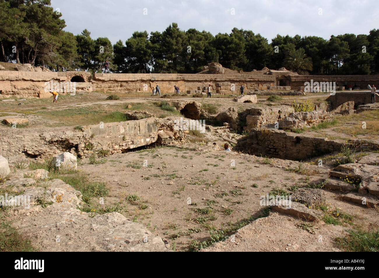 Ruines de l'amphithéâtre de carthage Banque de photographies et d ...