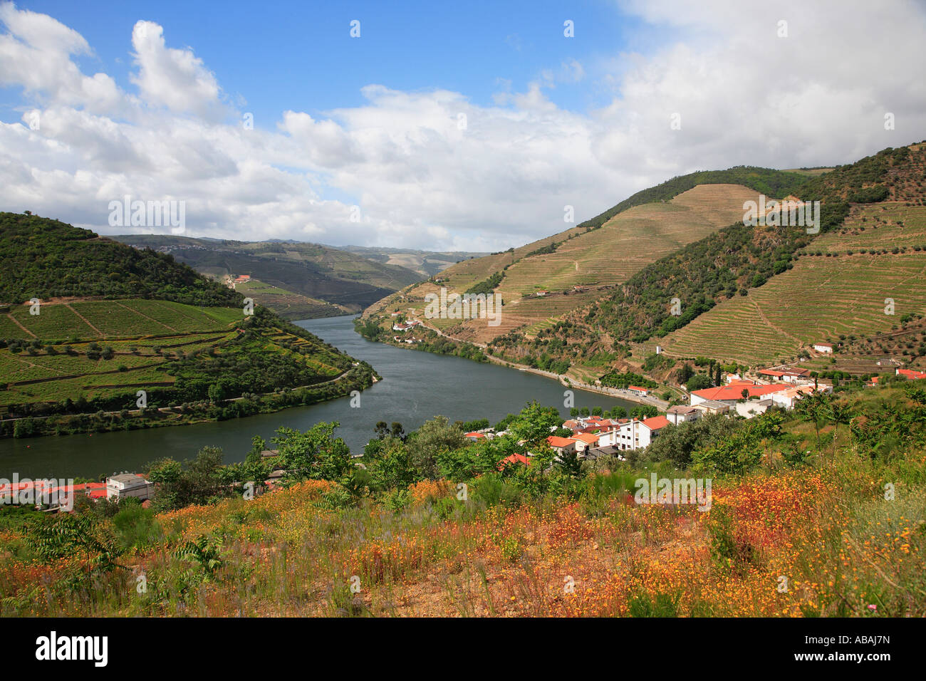 Vignobles du douro Banque de photographies et d’images à haute ...