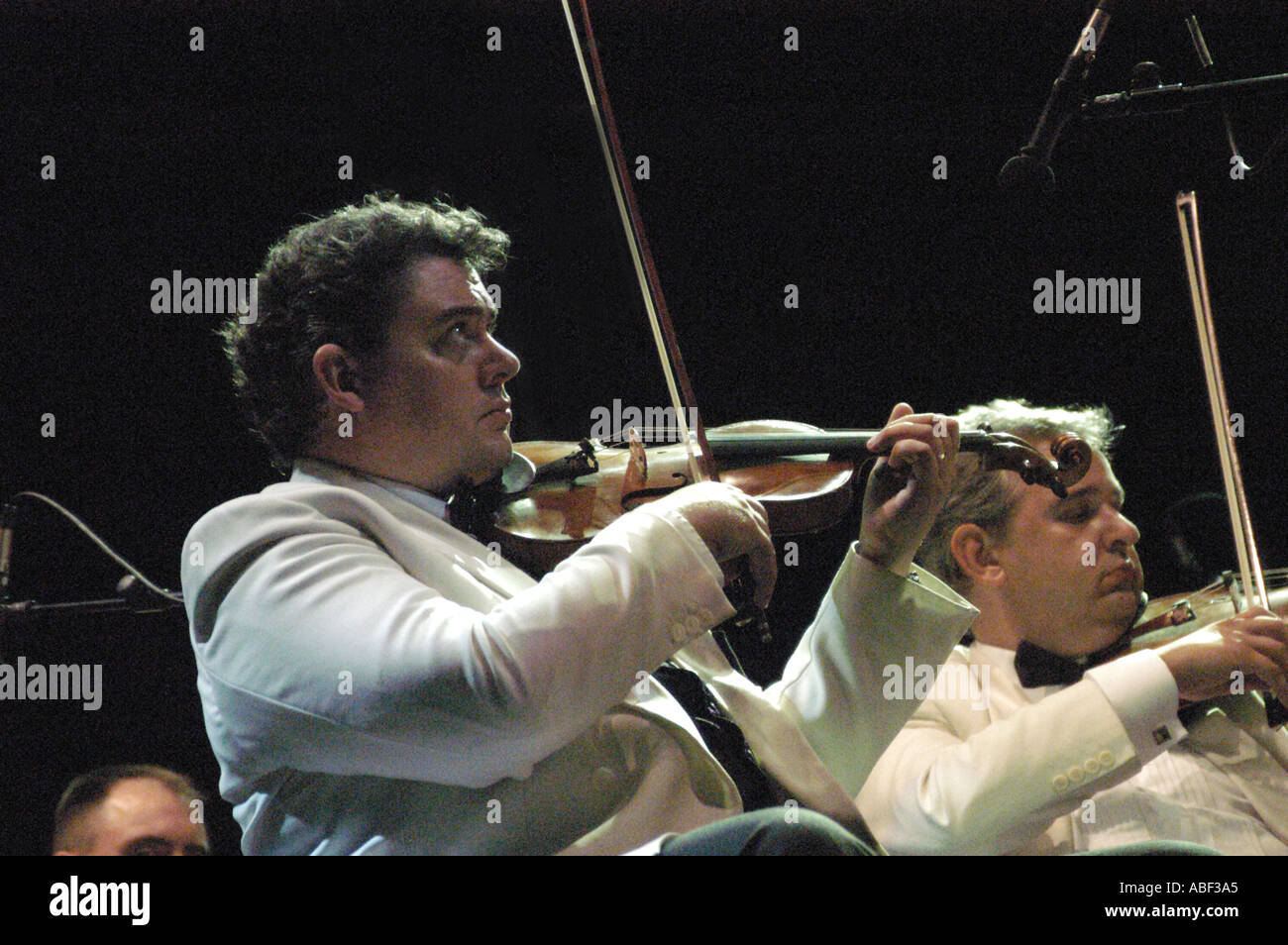 Premier violon Banque de photographies et d’images à haute résolution ...