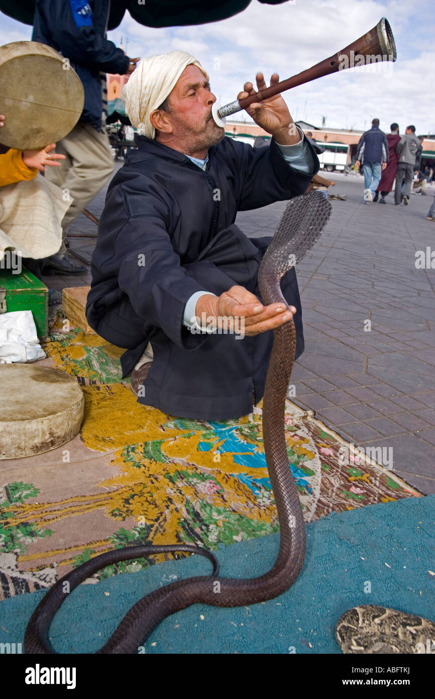 Charmeurs de serpent djemaa el fna Banque de photographies et d’images ...