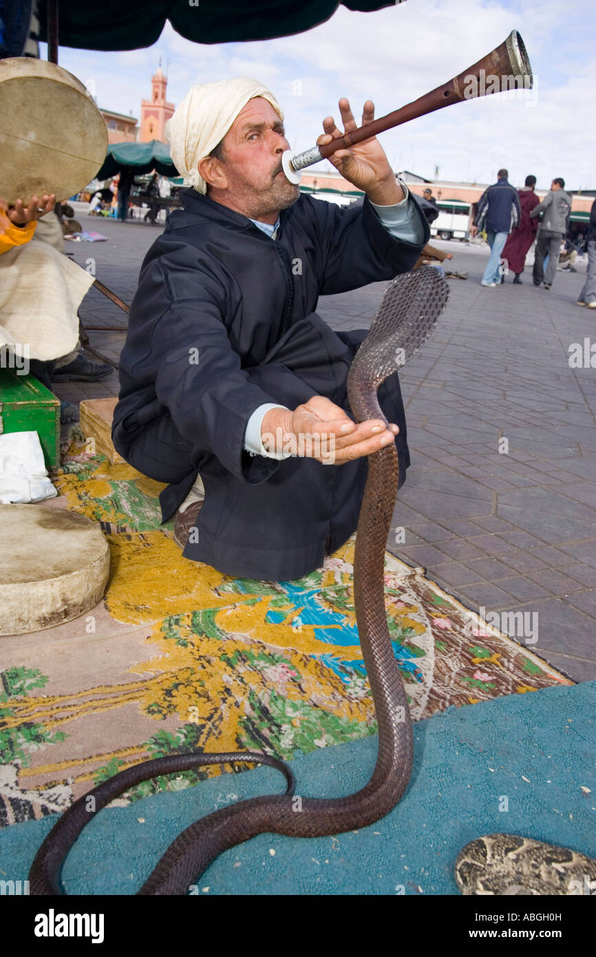 Charmeurs de serpent djemaa el fna Banque de photographies et d’images ...