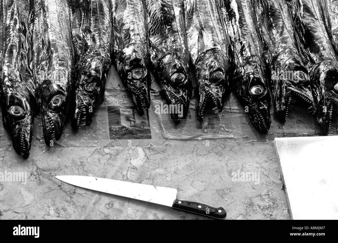 Espada fish Banque de photographies et d’images à haute résolution ...