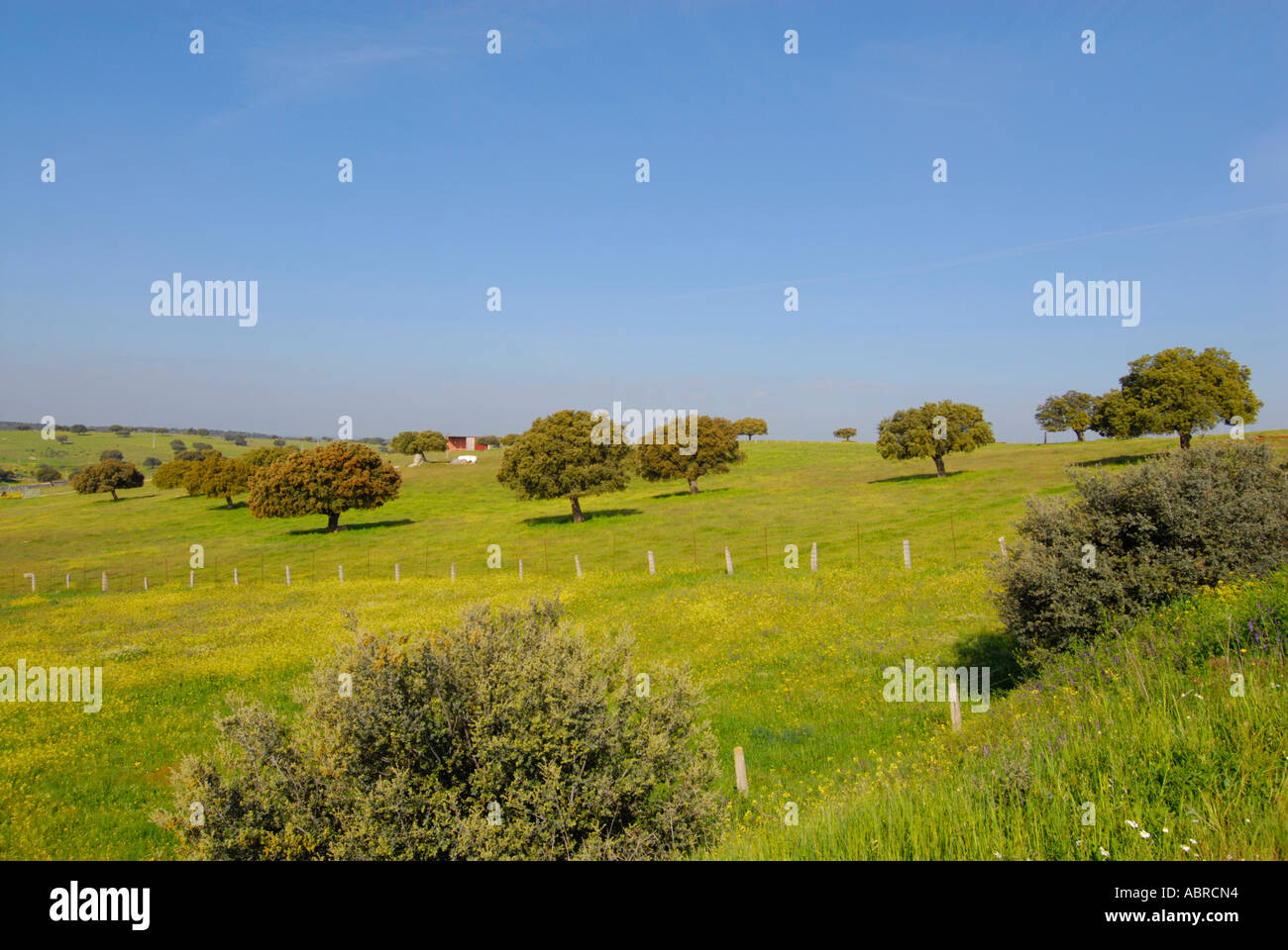 Ouvrir les terres agricoles en Castilla y Leon Espagne avec acron ...