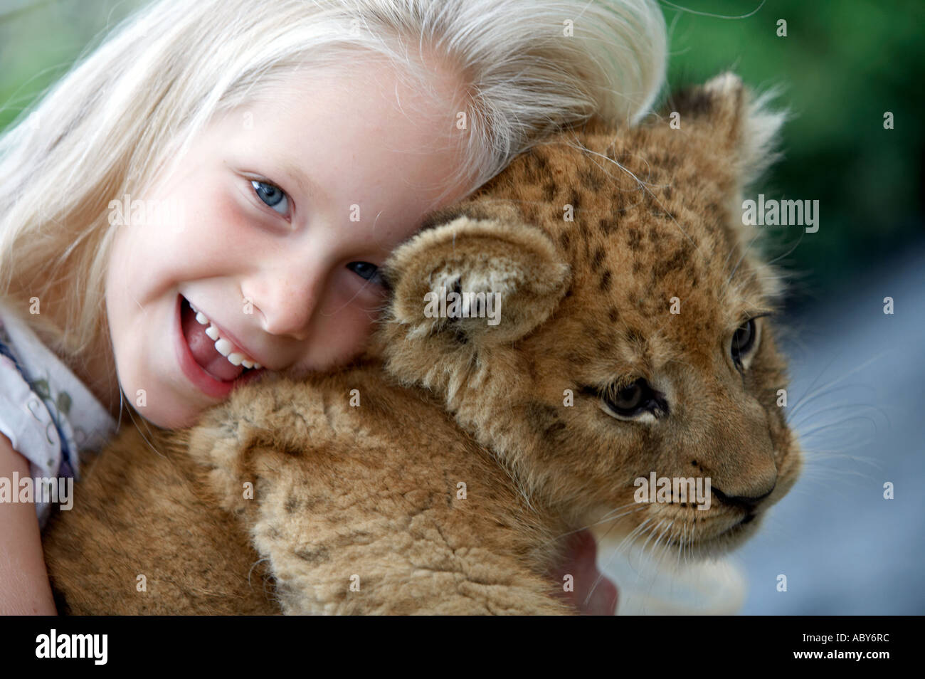 Lion et enfant Banque de photographies et d’images à haute résolution ...