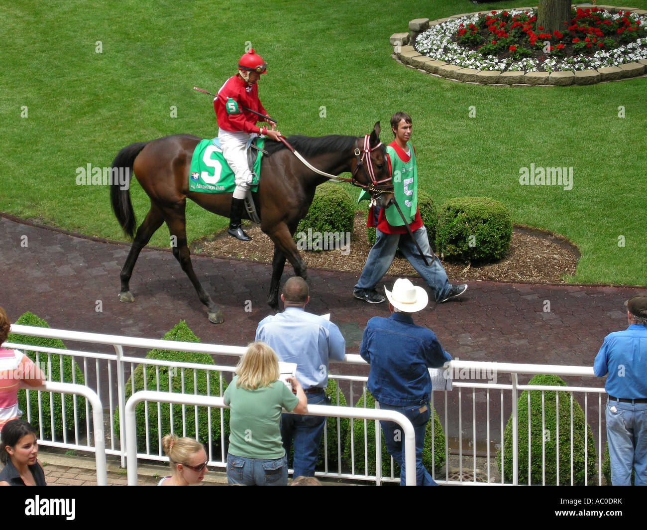 Courses de pur sang Banque de photographies et d’images à haute ...