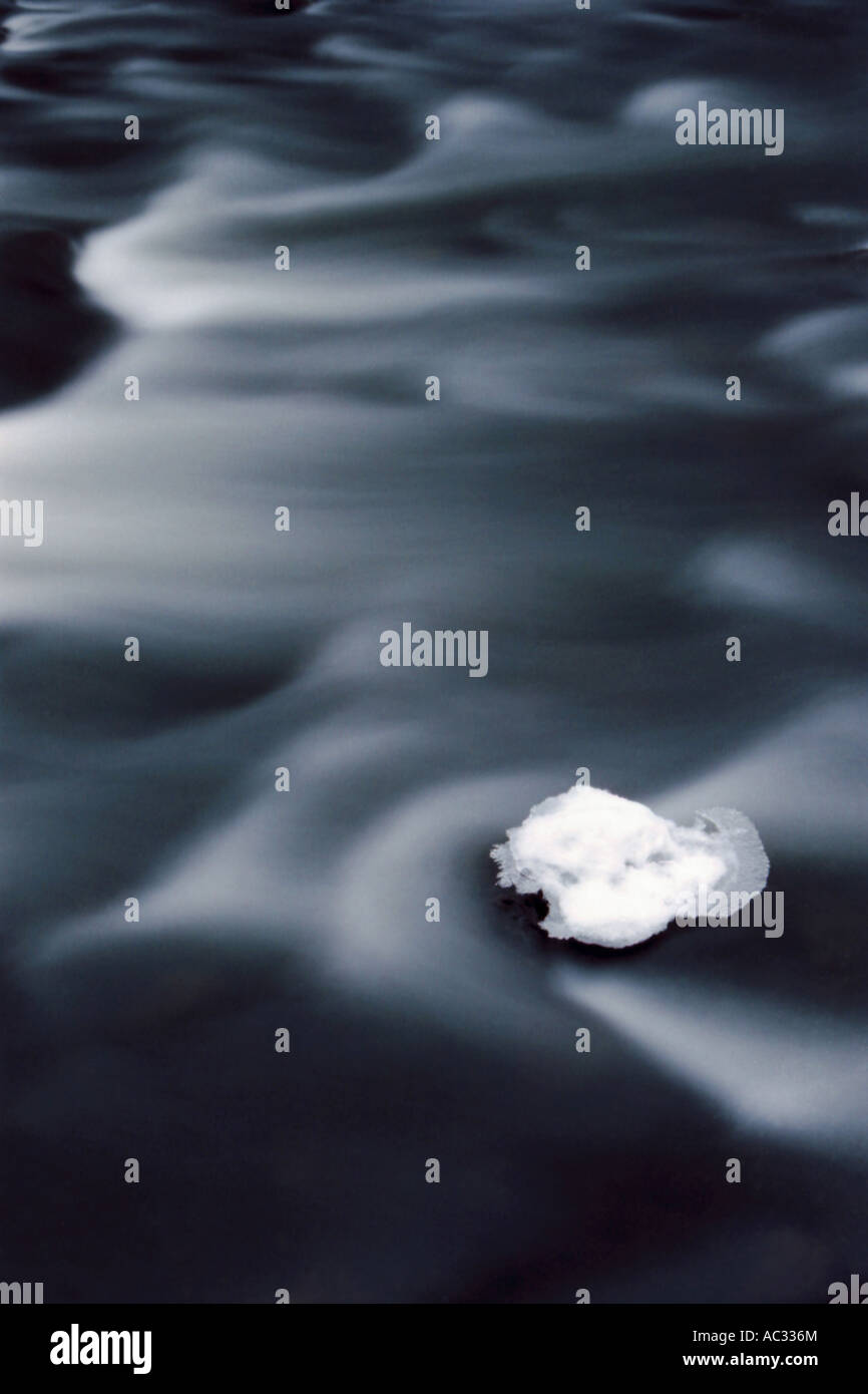 Eau qui coule avec une seule banquise Banque de photographies et d ...