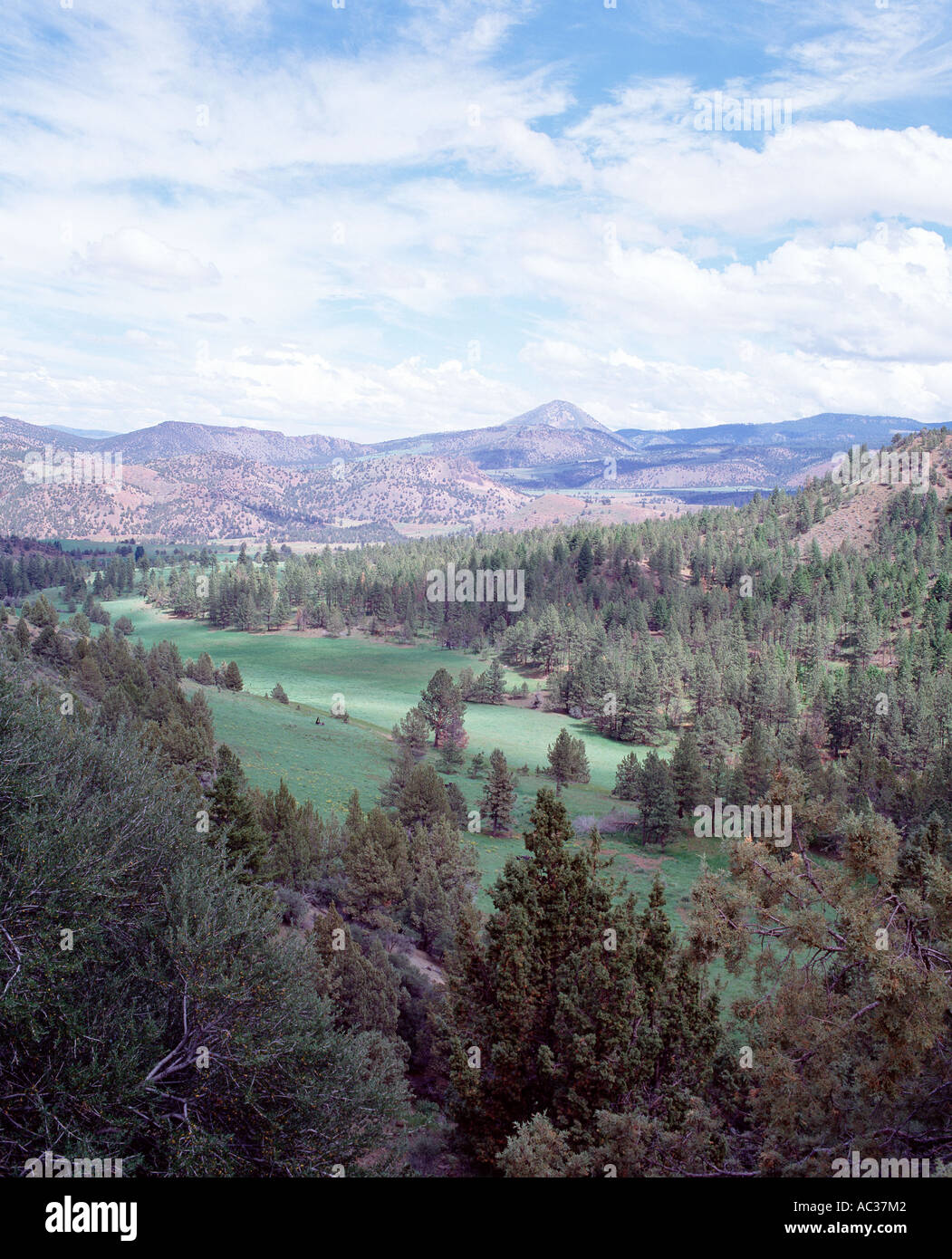 Montagnes ochoco Banque de photographies et d’images à haute résolution ...