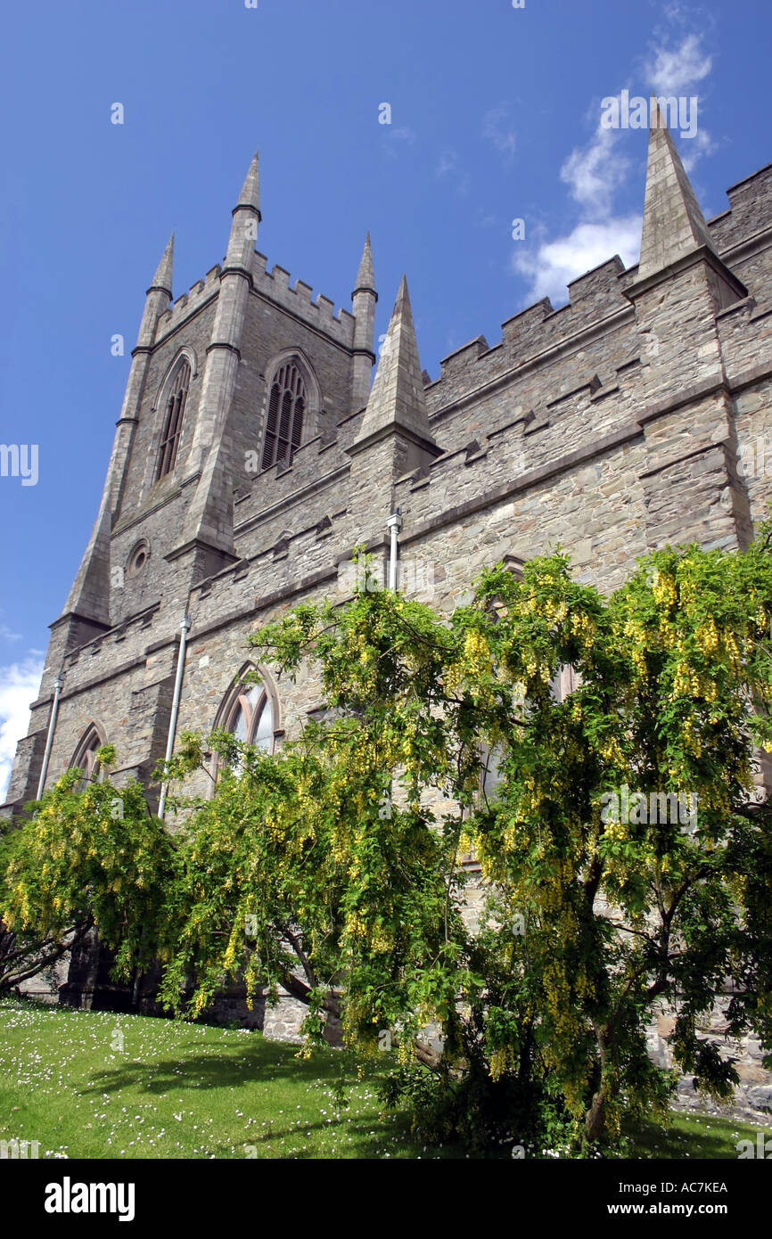 Downpatrick down cathedral Banque de photographies et d’images à haute ...
