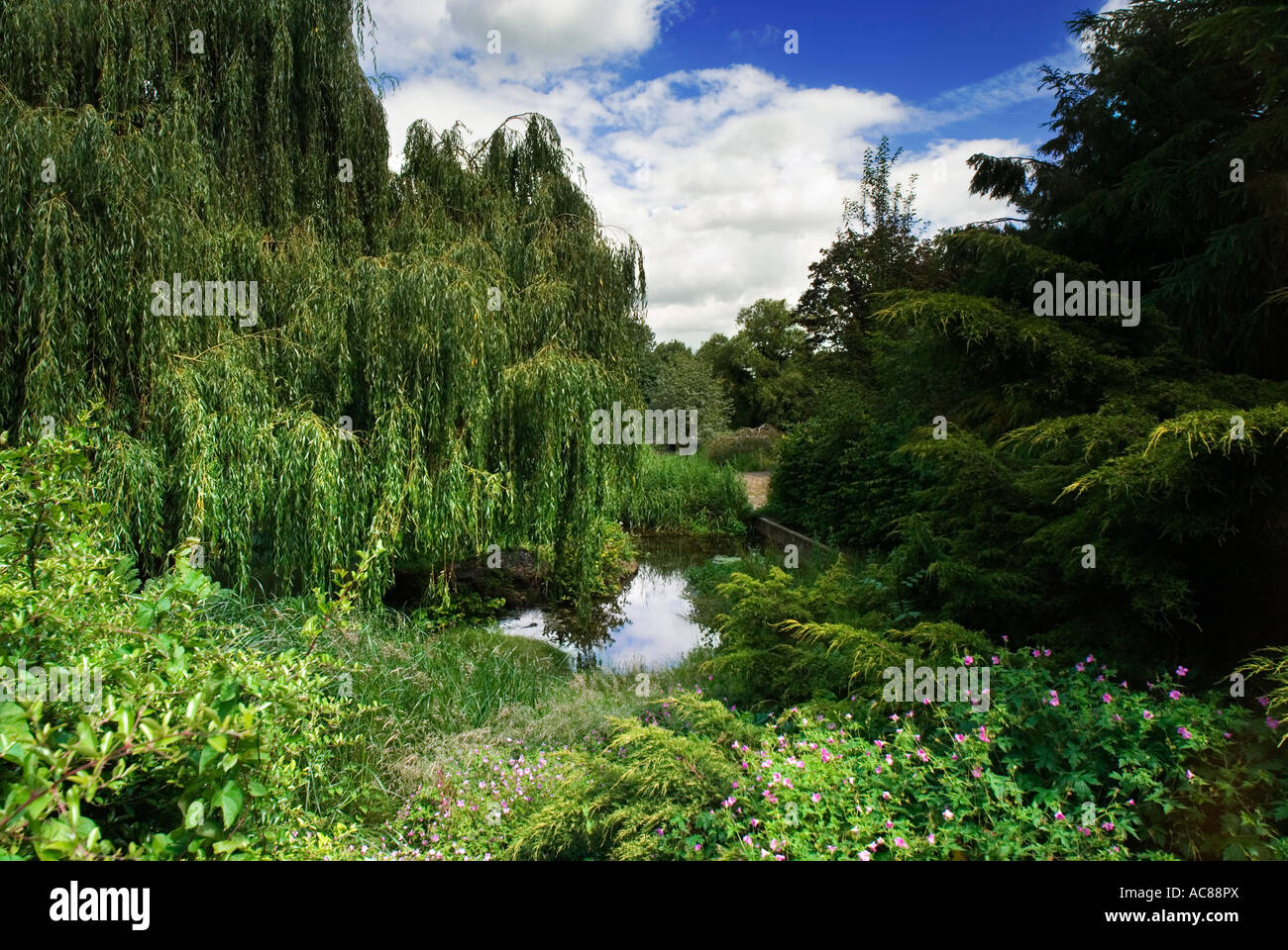 Harlow town park Banque de photographies et d’images à haute résolution ...