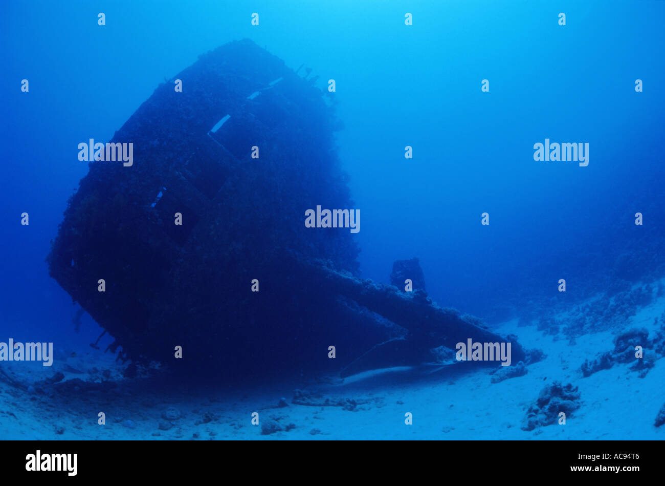 Le navire carnatic wreck red mer egypte Banque de photographies et d ...