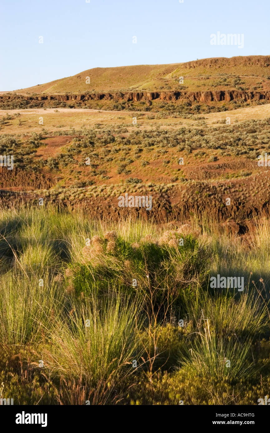 Les prairies de graminées et de sauge au-dessus de chutes Palouse ...