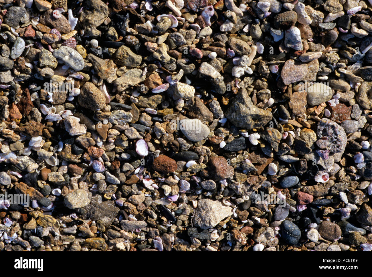 Gravier de silex Banque de photographies et d’images à haute résolution - Alamy
