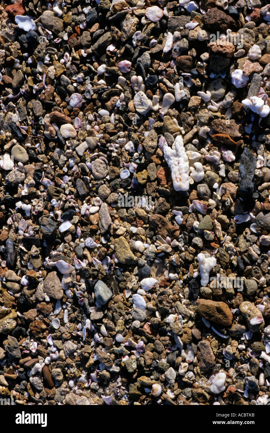 Gravier de silex Banque de photographies et d’images à haute résolution - Alamy