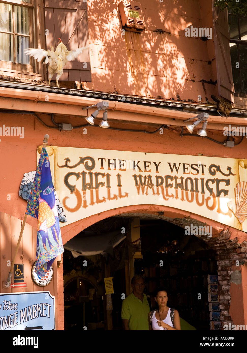 Fl seashells Banque de photographies et d’images à haute résolution - Alamy