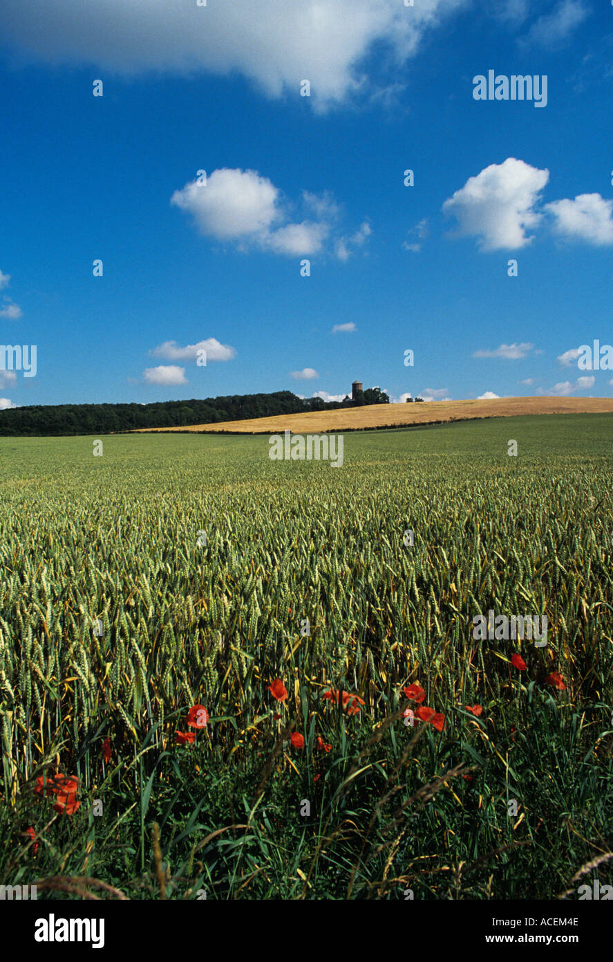 Rivey hill Banque de photographies et d’images à haute résolution - Alamy