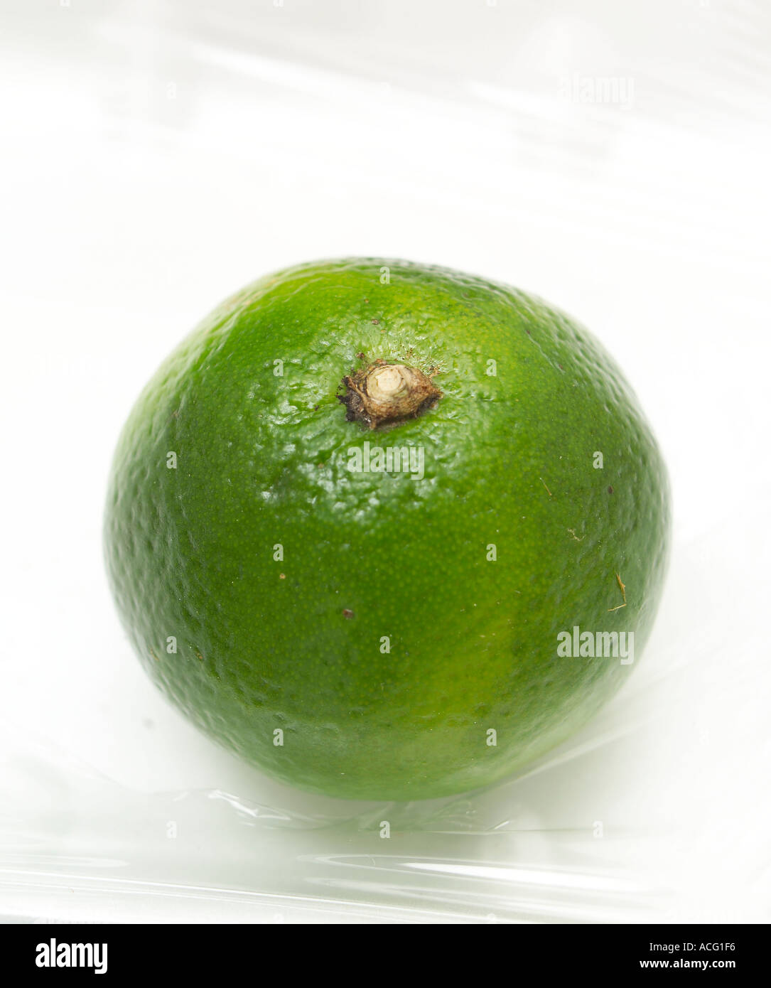 Mapo fruit orange lemon citrus Banque de photographies et d’images à ...