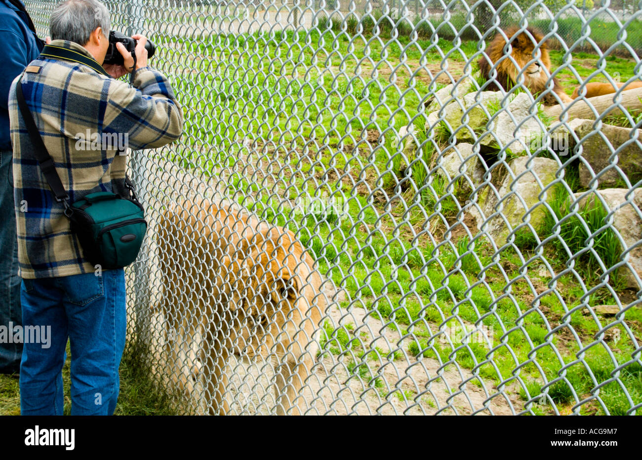 Amateur photographer Banque de photographies et d’images à haute résolution - Alamy