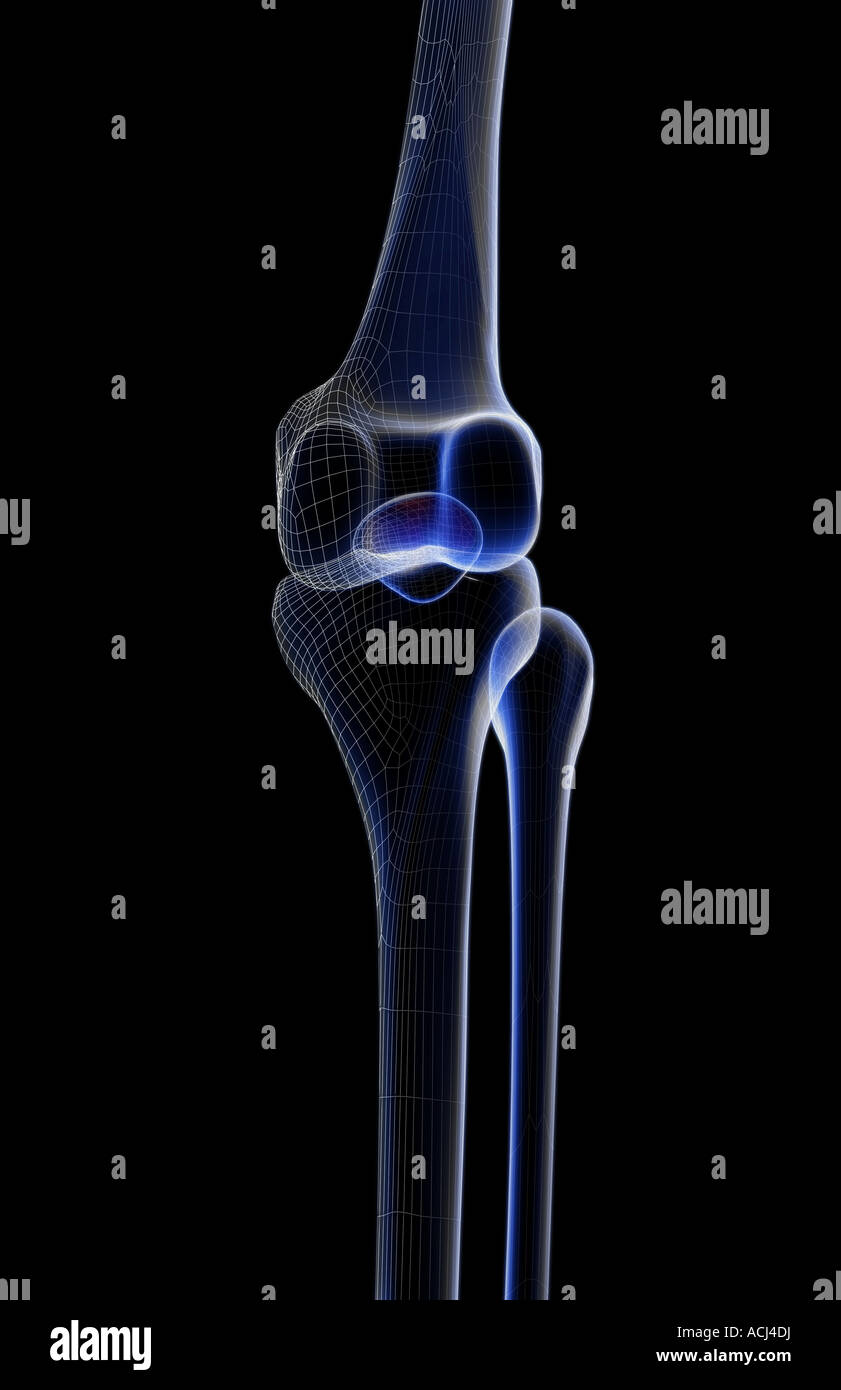 Medial Condyle Banque d'image et photos - Alamy
