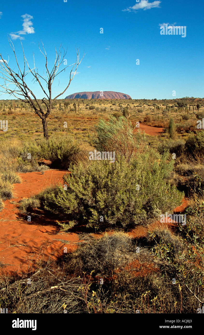 Le mont Uluru, Ayers Rock, Kata Tjuta National Park, Territoire du Nord ...