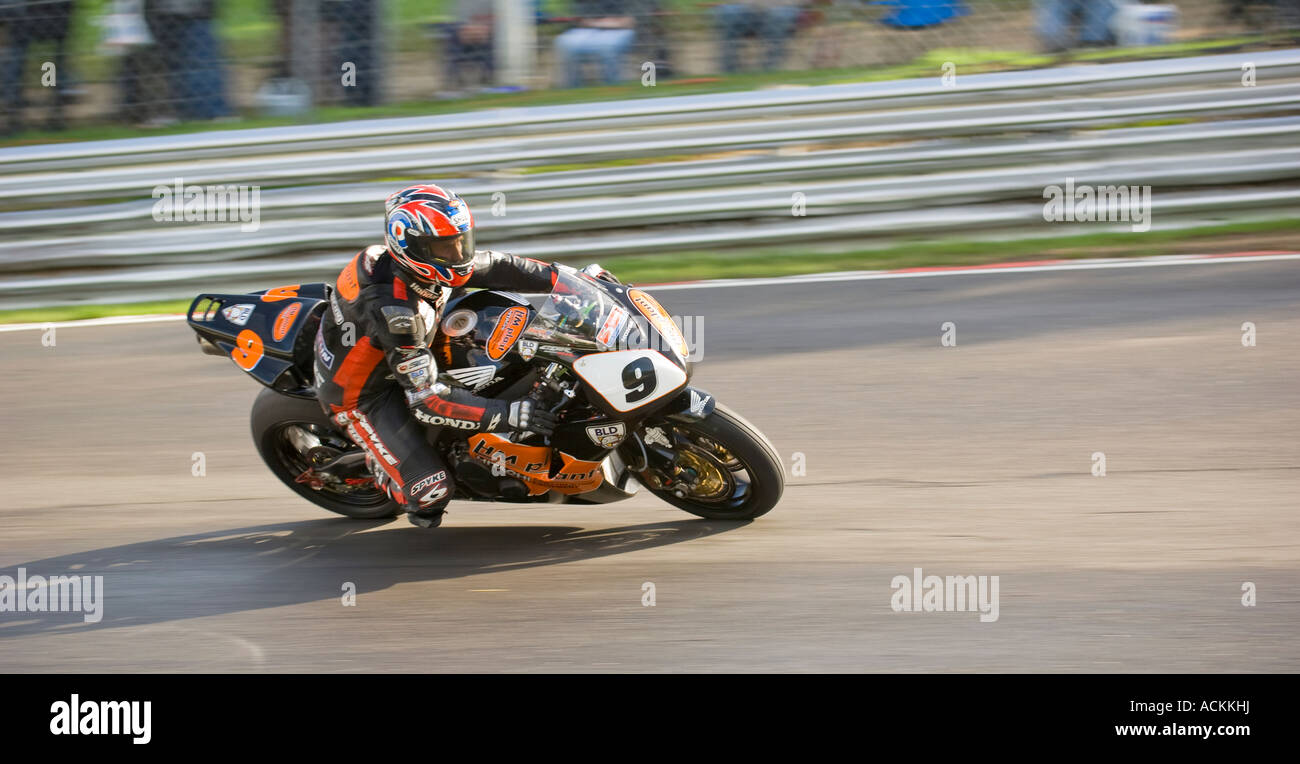 Hm plante Banque de photographies et d’images à haute résolution - Alamy