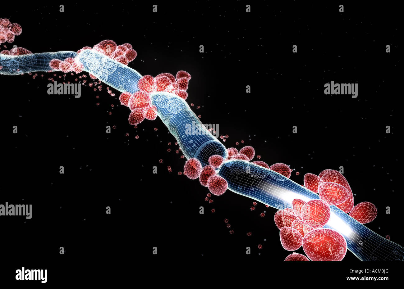 Candida albicans Banque de photographies et d’images à haute résolution ...