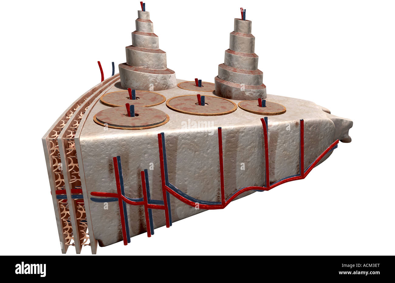 Os compact Banque de photographies et d’images à haute résolution - Alamy