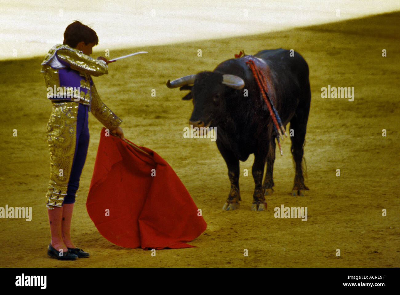 Toréador seville Banque de photographies et d’images à haute résolution - Alamy
