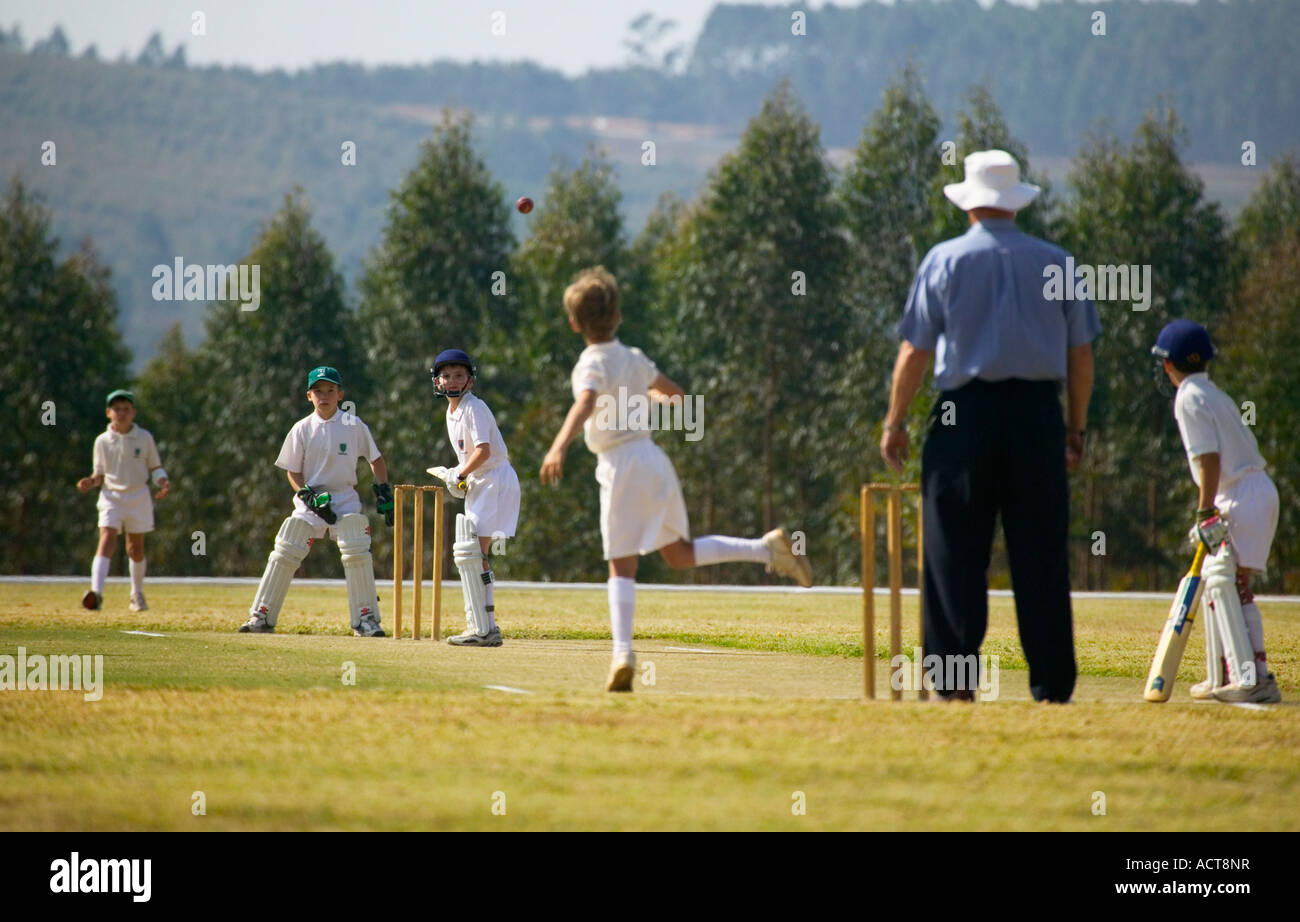 Children playing cricket Banque de photographies et d’images à haute ...