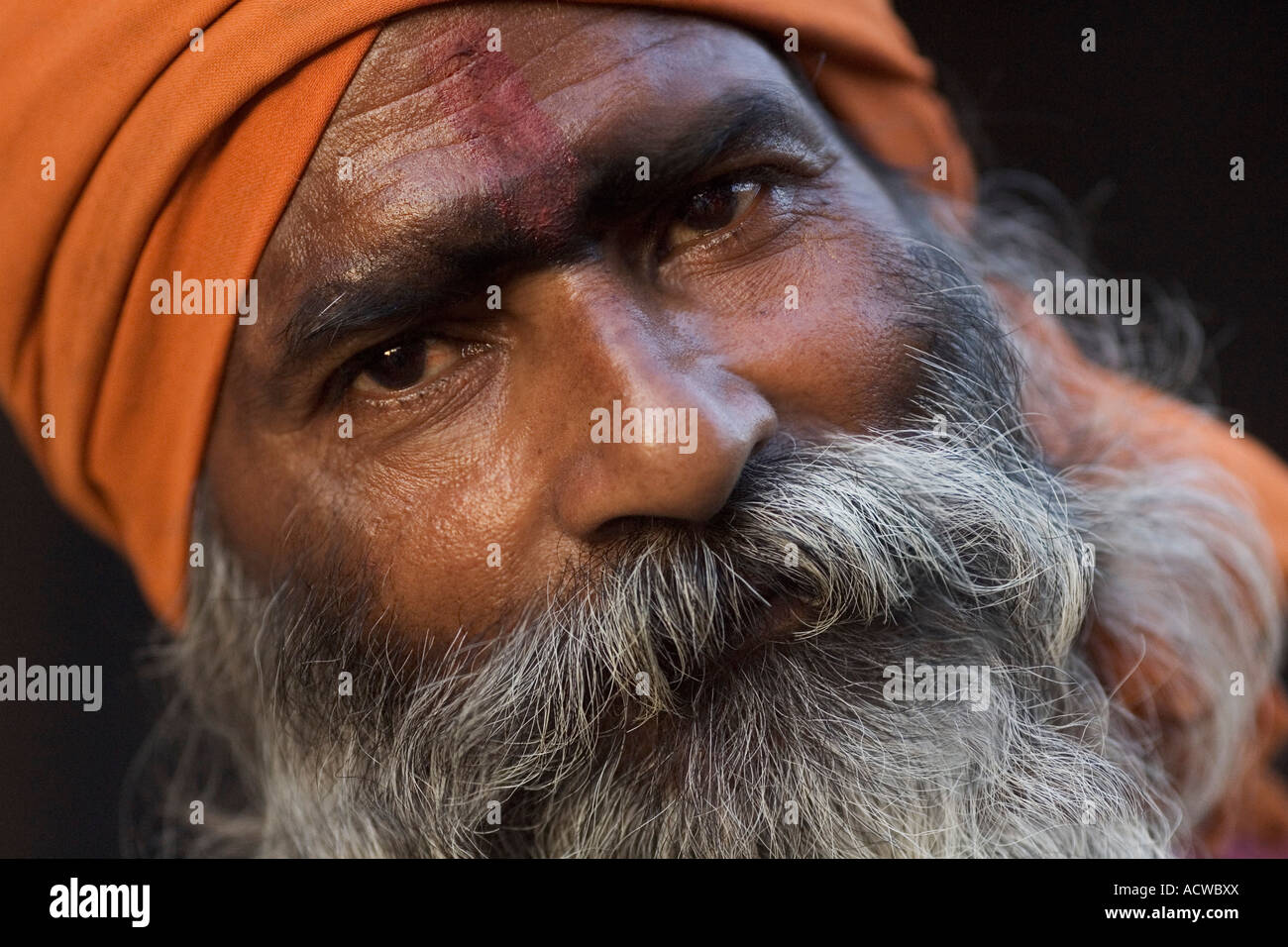 Ermite ermites masculins Banque de photographies et d’images à haute ...