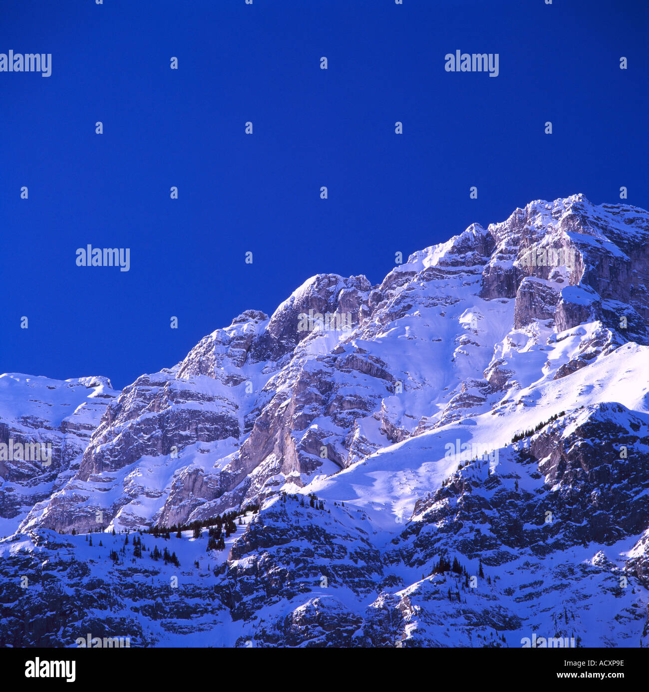 Montagnes Rocheuses en hiver le long des glaciers dans le parc national ...