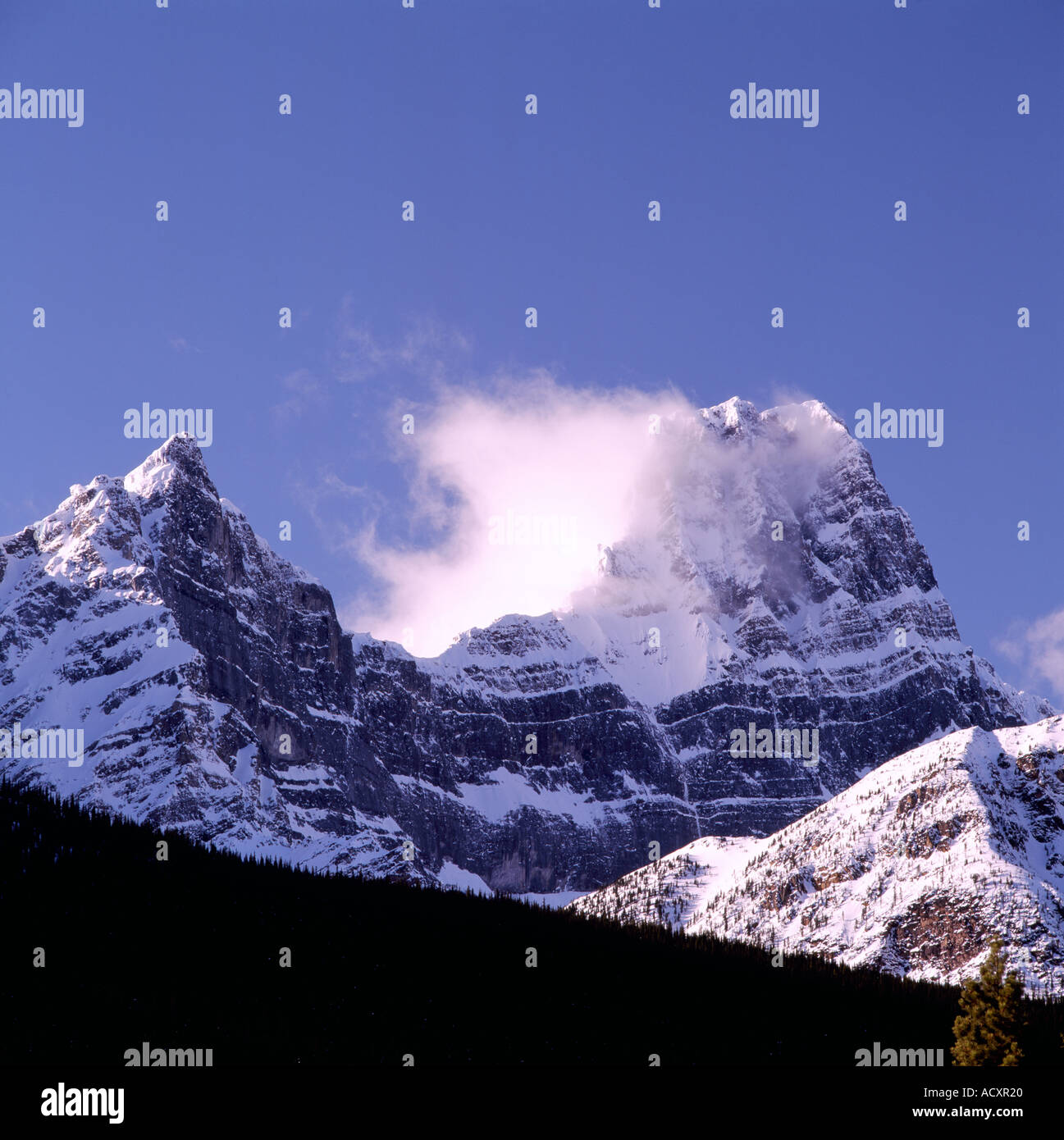 Montagnes Rocheuses en hiver le long des glaciers dans le parc national ...